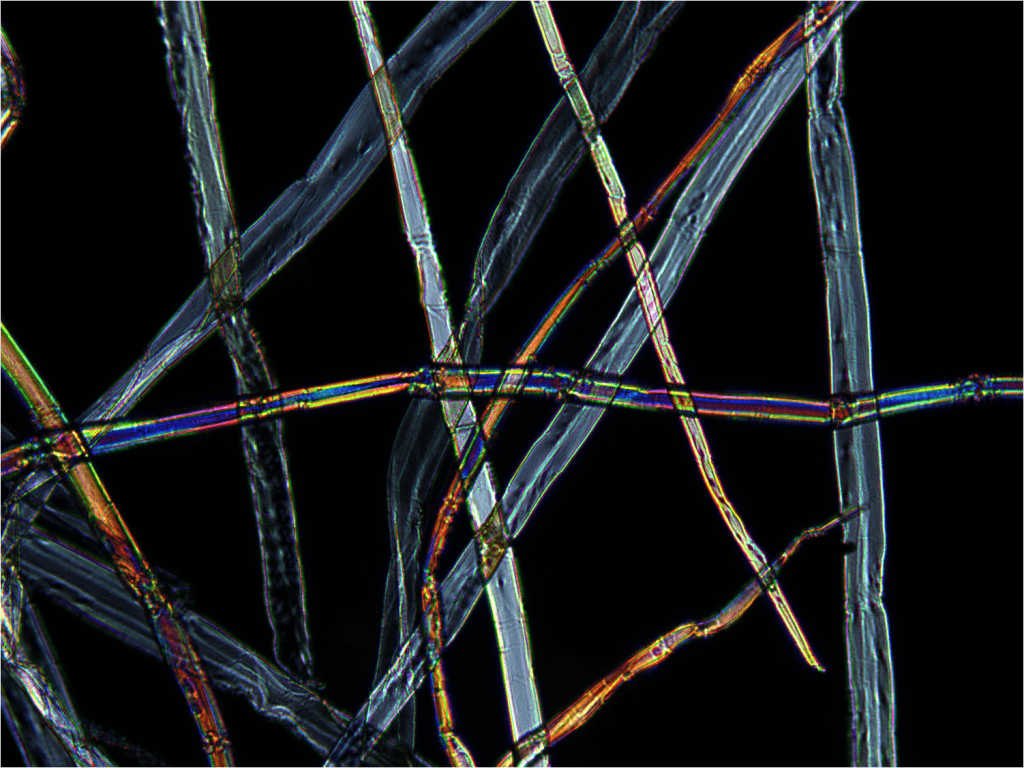 High quality NBSK fibre for premium tissue paper grades - Tissue World ...