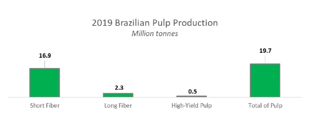 Brazilian eucalyptus and pine planted wood production: “The innovation ...