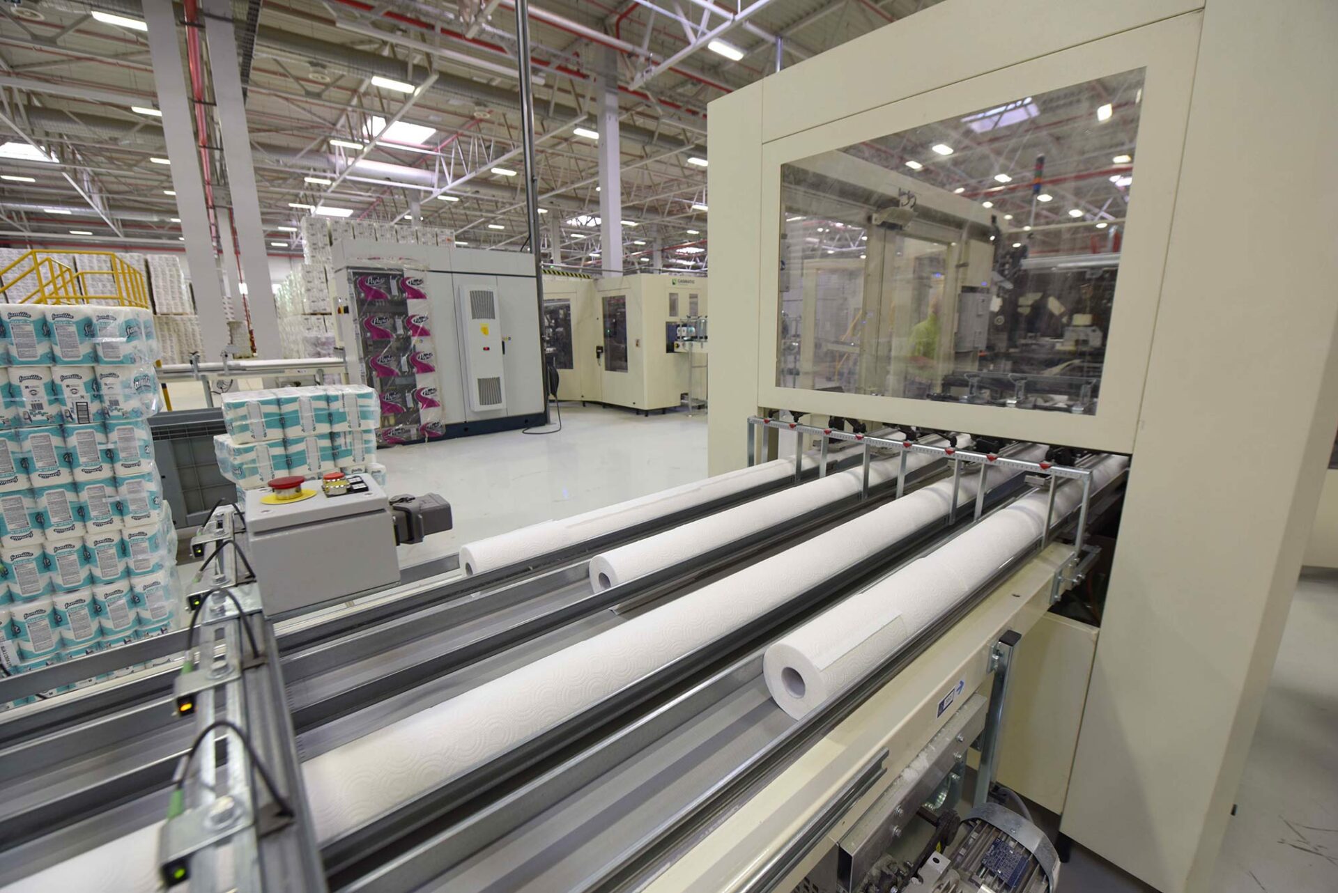 Hayat's Sustainable Innovations in Tissue Manufacturing