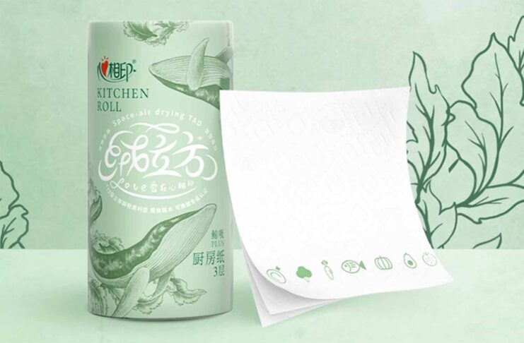 CHINA: STATE OF THE NATION TISSUE REPORT 2024 – SECTOR BY SECTOR ...